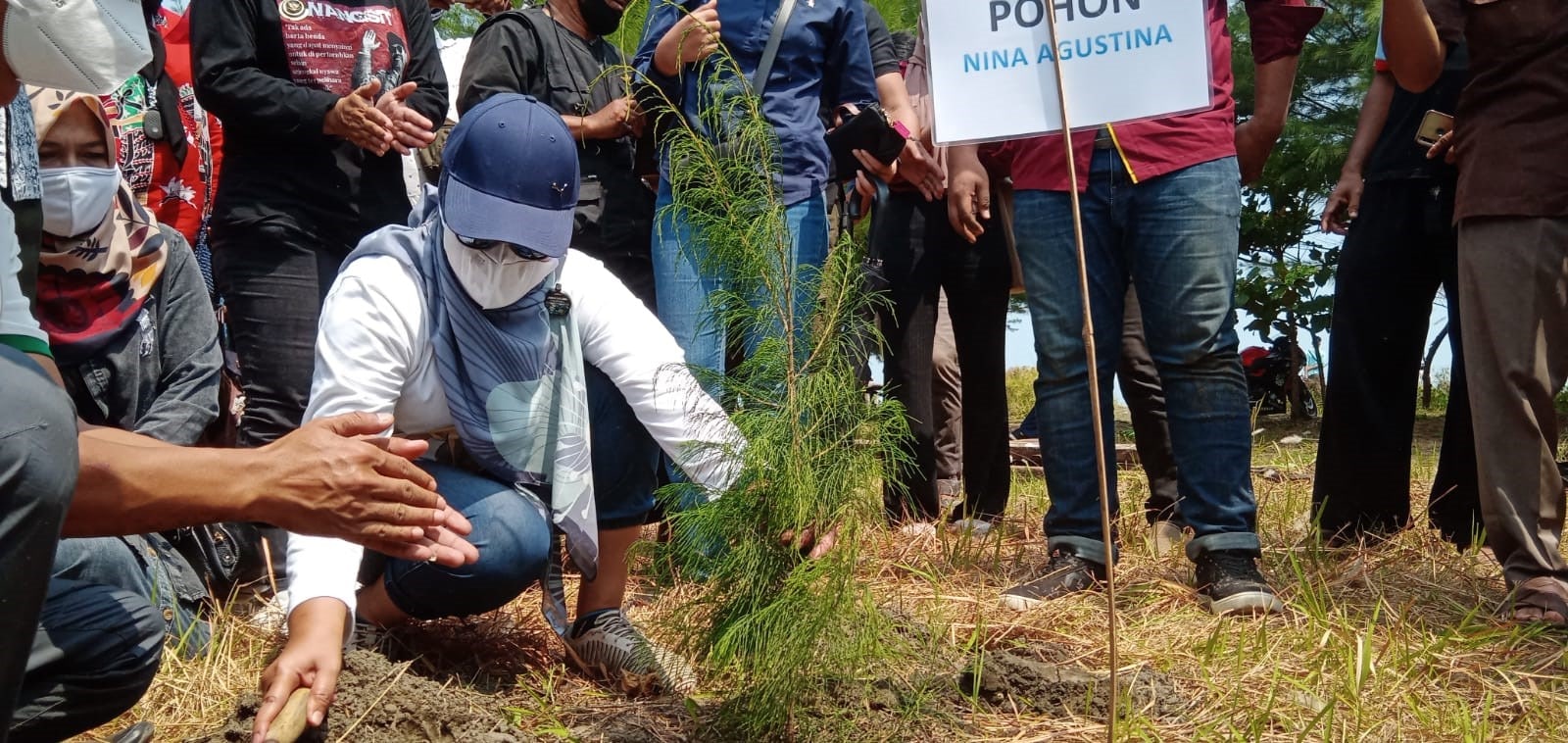 Bupati Nina Ajak Gencarkan Penghijauan, Bersama Ketua PCNU Tanam Pohon Cemara Bermartabat